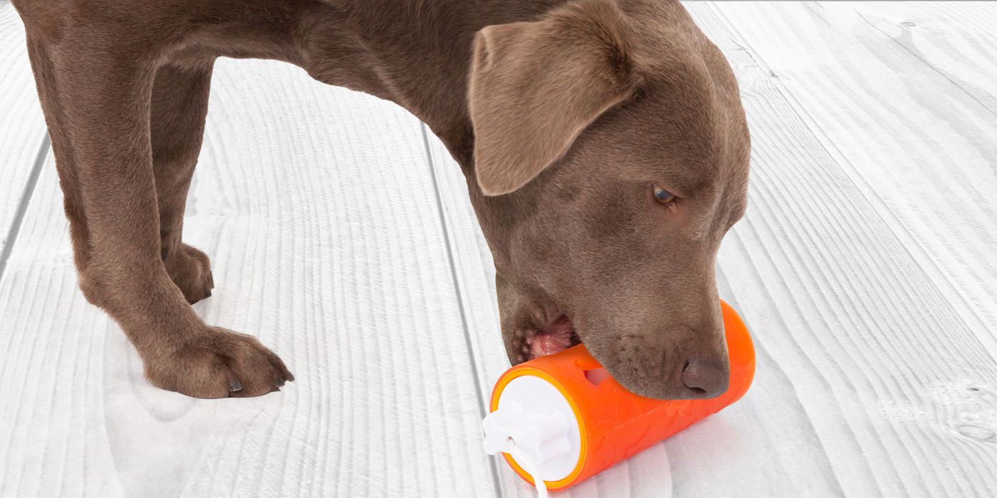 DOG N ROLL 17,5cm ⋆ Edupet